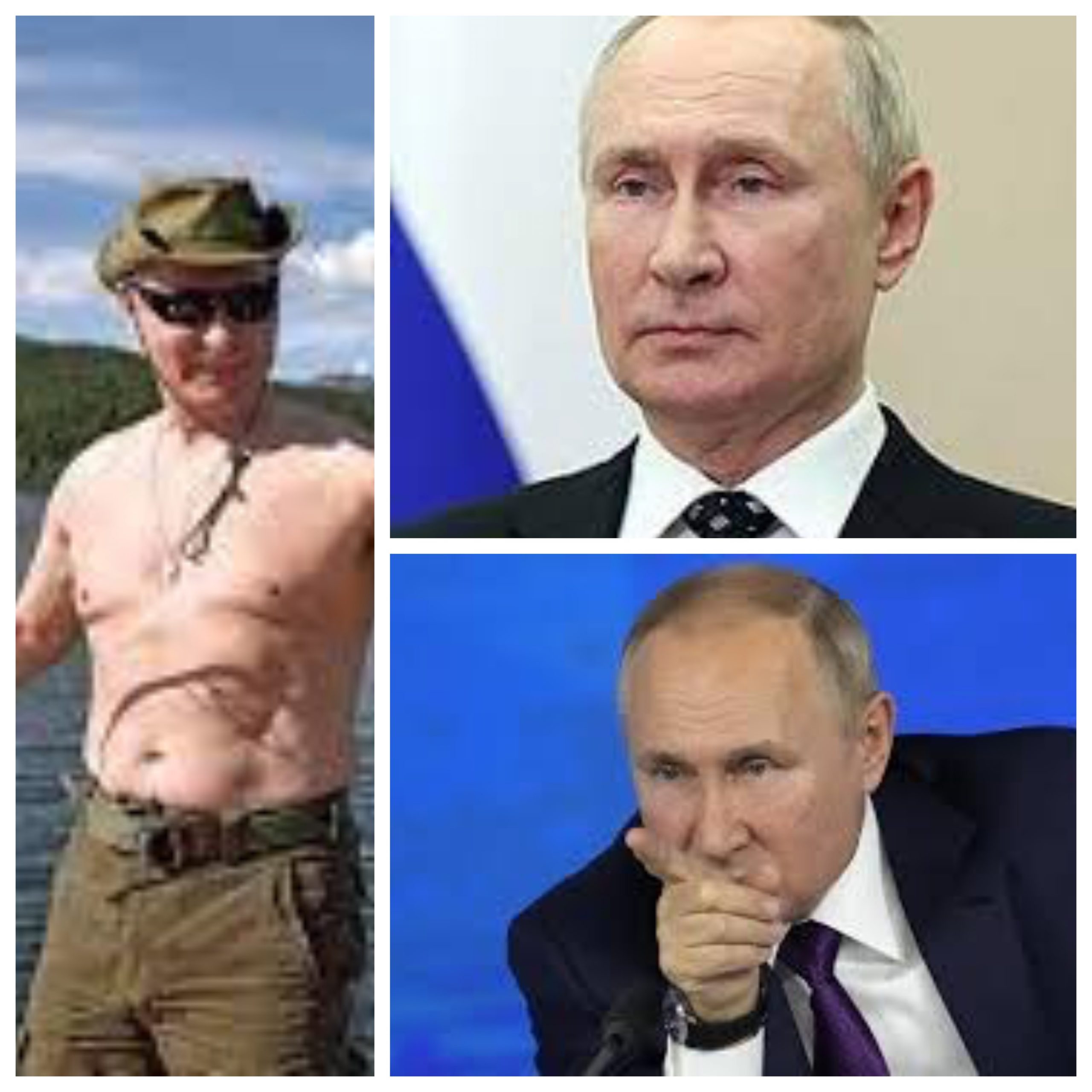 Collage-vp – Clipper Media News